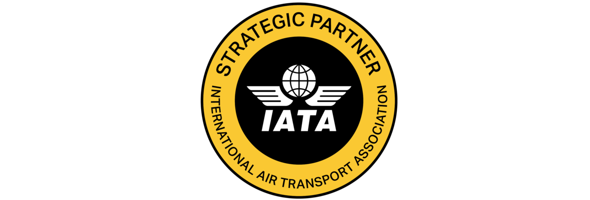 Your partner for IT consulting and systems integration